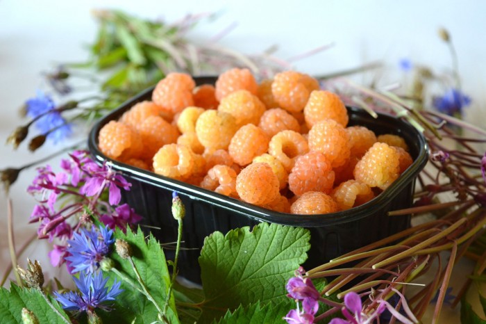 Nos framboises – Fruits rouges du Velay