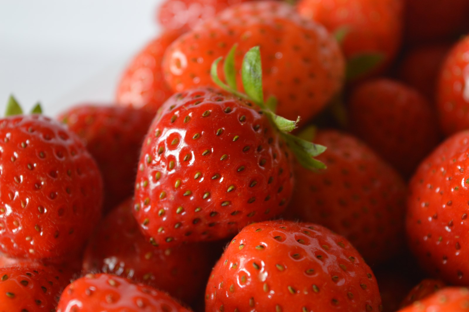 Nos fruits rouges – Fruits rouges du Velay